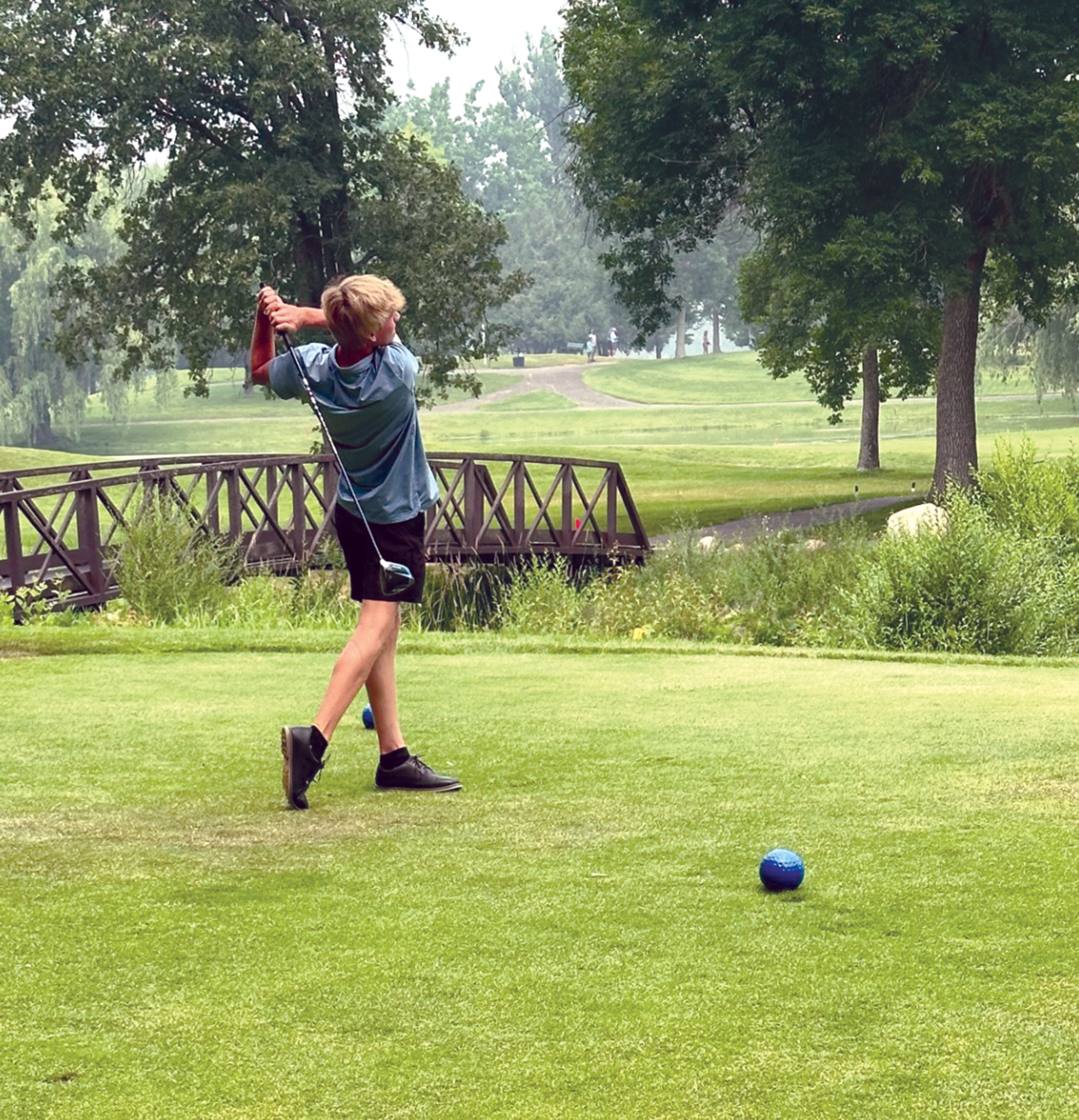 Erickson ties for 10th, Pearson 24th at state golf tourney | News ...